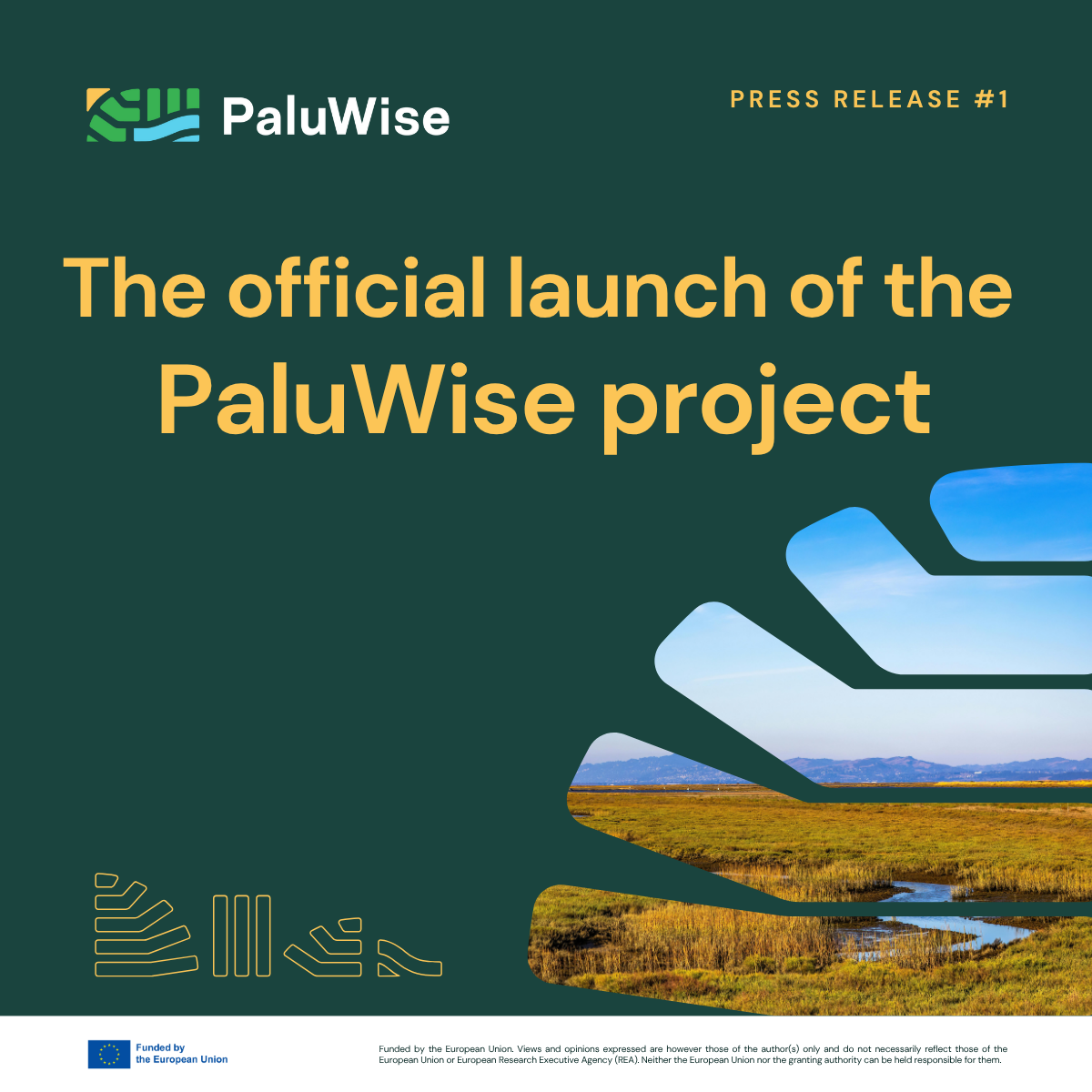 PaluWise – Transforming degraded peatlands through innovative Paludiculture