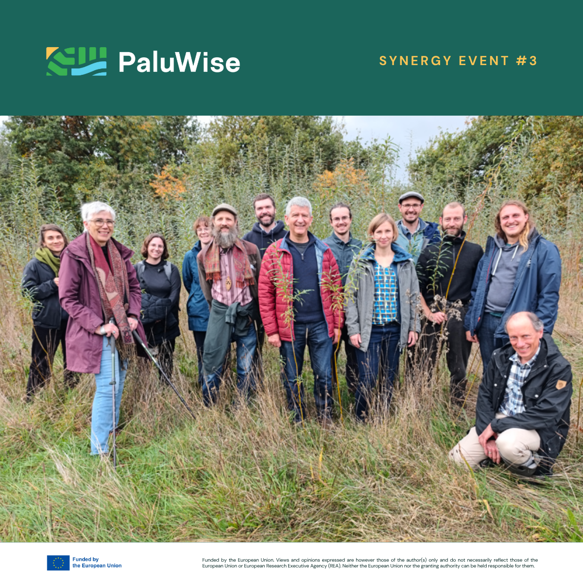 PaluWise – Transforming degraded peatlands through innovative Paludiculture