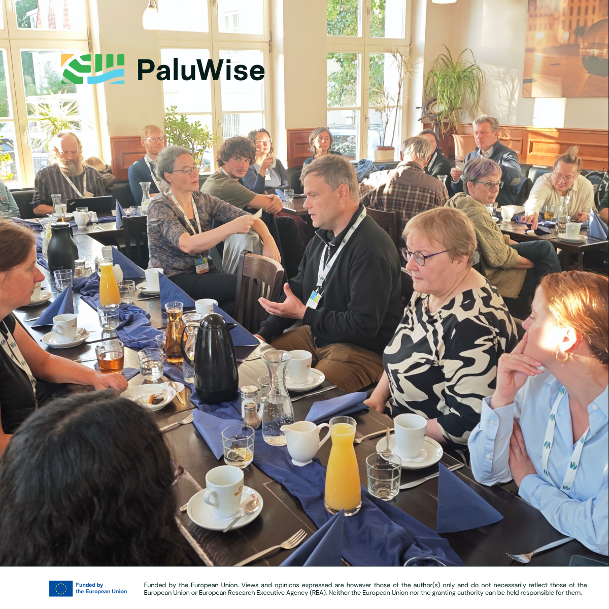 PaluWise – Transforming degraded peatlands through innovative Paludiculture
