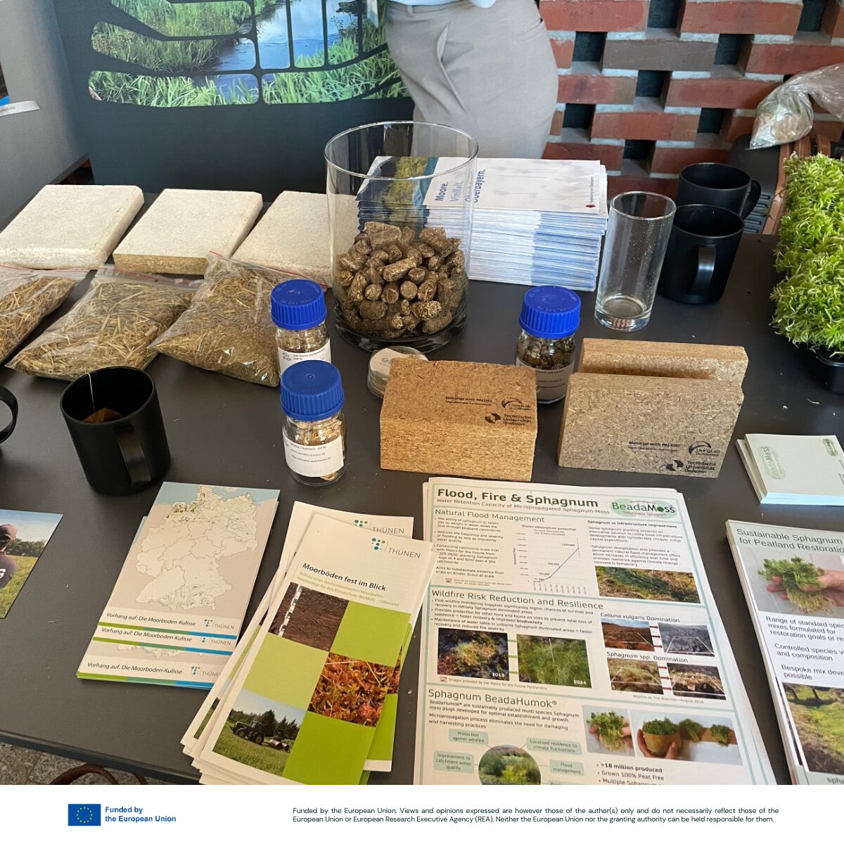 PaluWise – Transforming degraded peatlands through innovative Paludiculture