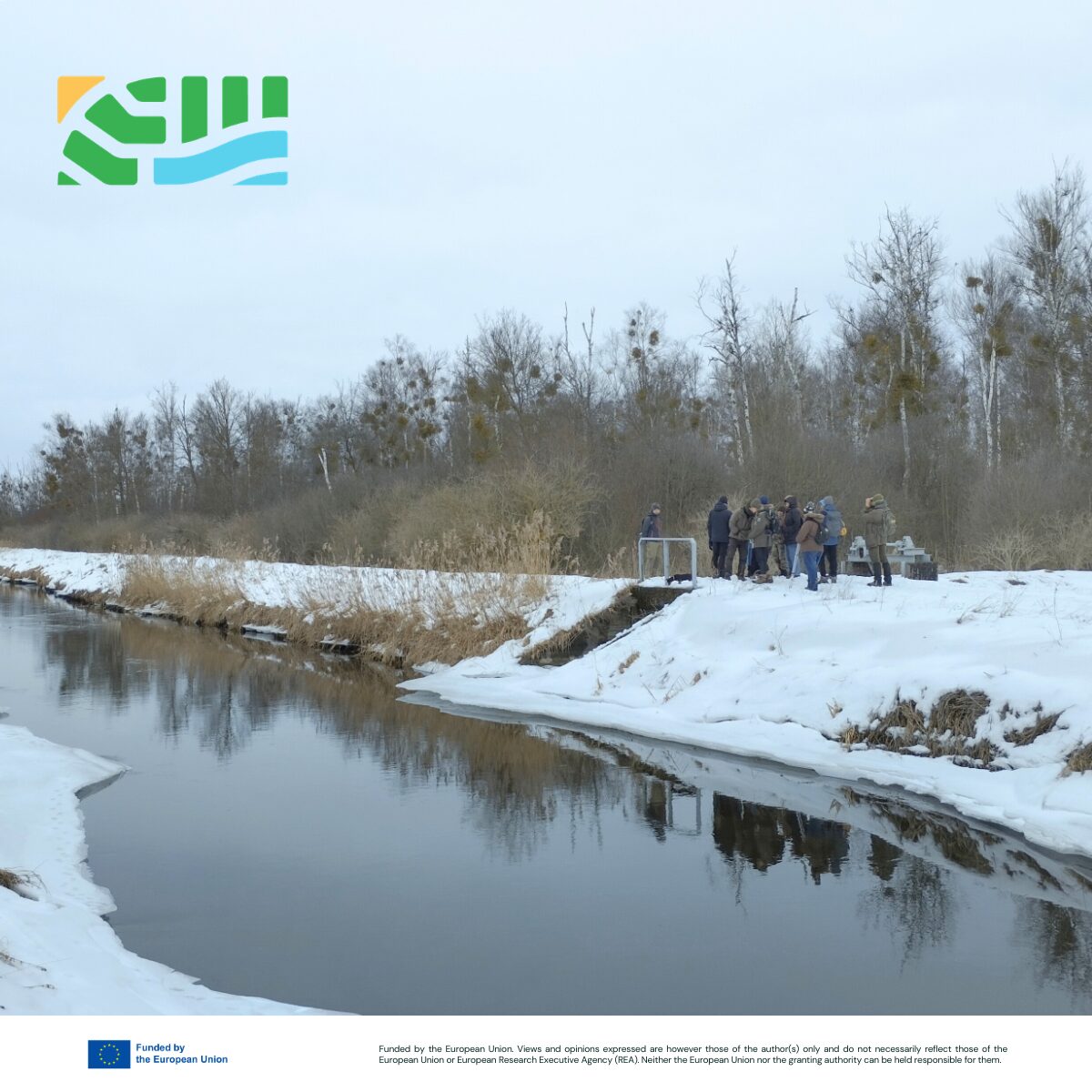 PaluWise – Transforming degraded peatlands through innovative Paludiculture